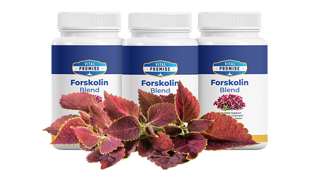 How To Take Forskolin Extract for Healthy Weight Management